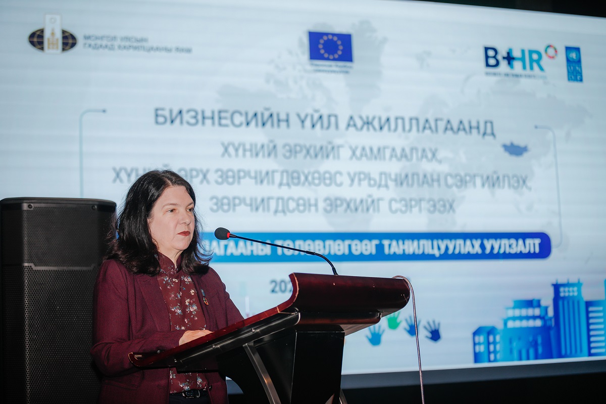 Монгол Улс Бизнес ба Хүний эрхийн үндэсний үйл ажиллагааны төлөвлөгөө